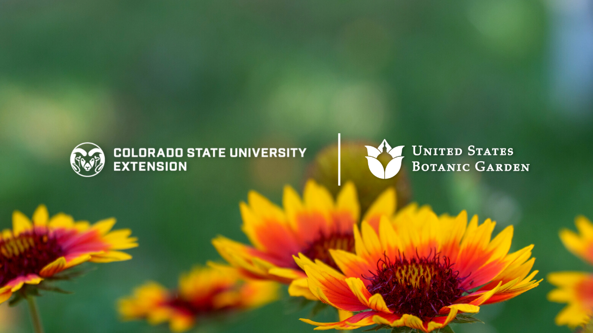 CSU Selected as New Partner for Landscape For Life - NOCOStyle.com