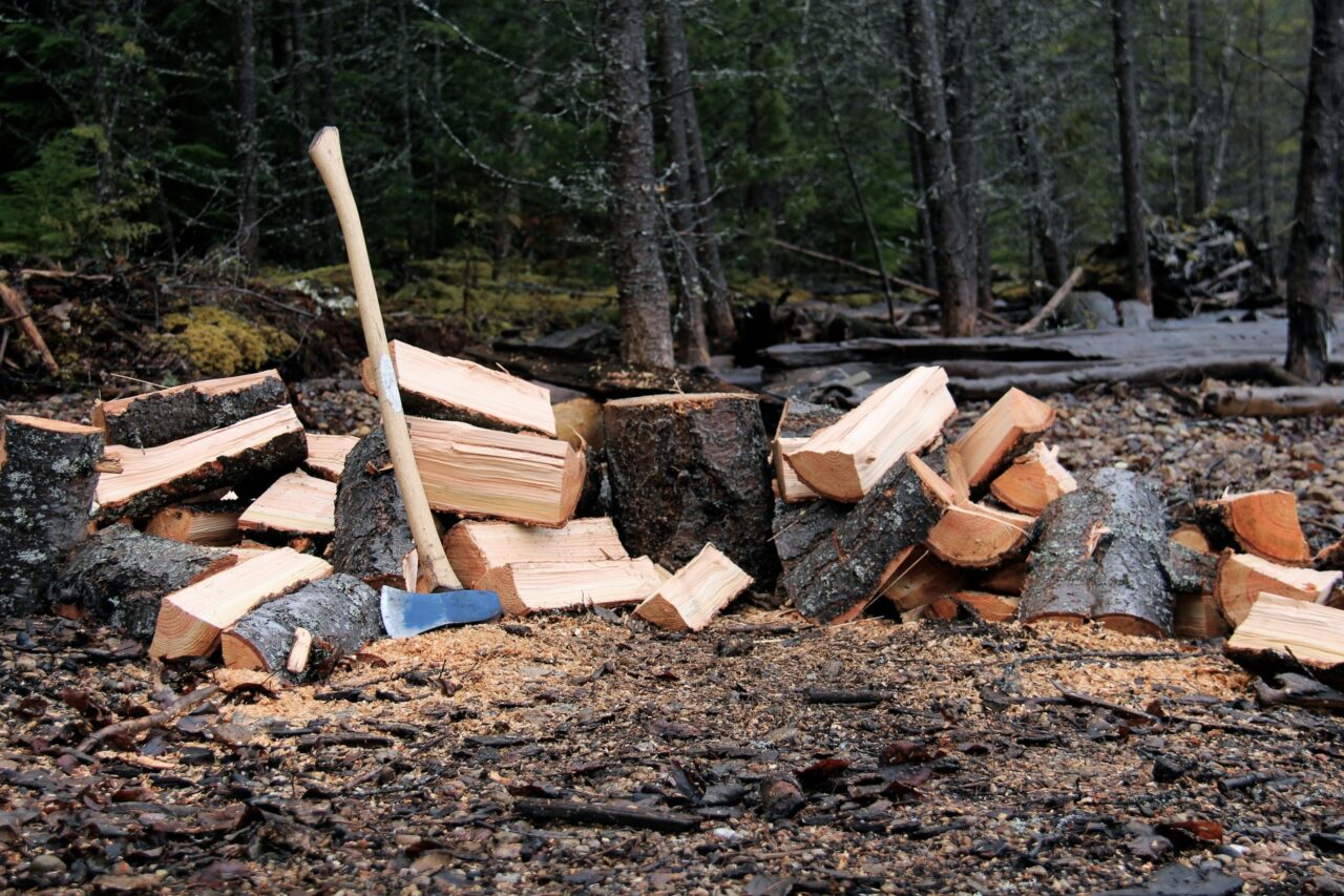 Arapaho and Roosevelt National Forests Firewood Permits Now Available ...