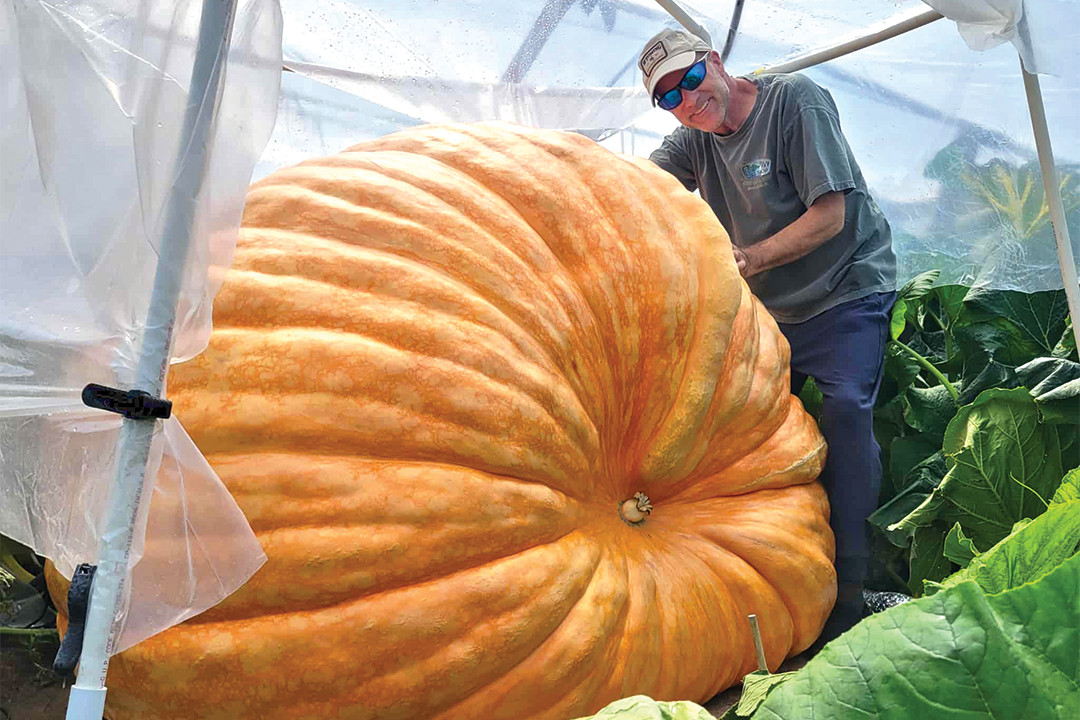 The Gourd Life - NOCOStyle.com